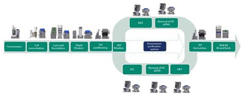 Bioprocess Online On Linkedin A Scalable Single Use Two Step Pdna Purification Process Source …