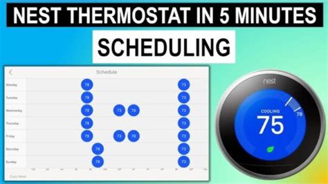 How To Set Schedule Nest Thermostat Ultimate Guide Thermostatneed