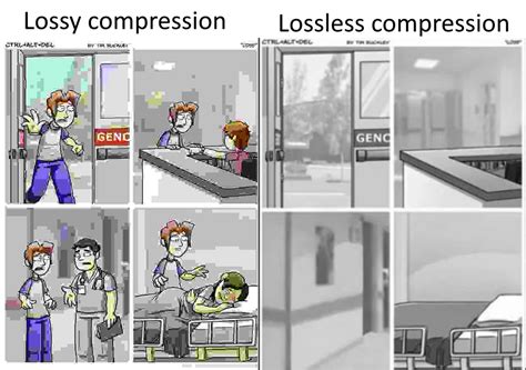 Lossless And Lossy Compression Know The Difference Rprogrammerhumor