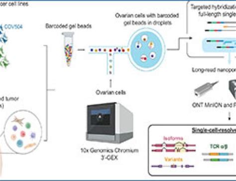 An Introduction To Rna Seq Methods Applications Experimental Design And Technical Challenges