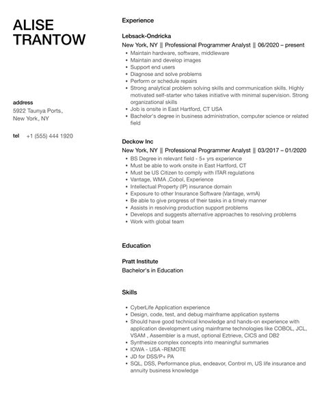 Professional Programmer Analyst Resume Samples Velvet Jobs