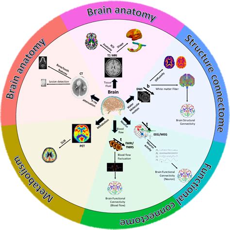 figure 1 from statistical learning methods for neuroimaging data