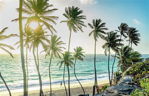 Caribbean Barbados Saint Philip Antilles Lesser Antilles Windward