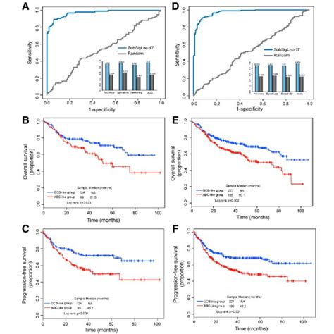 Validation Of Subsiglnc 17 In The Subtype Classification And Prognosis
