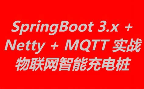 Springboot 3x Netty Mqtt 实战物联网智能充电桩 小白自学网