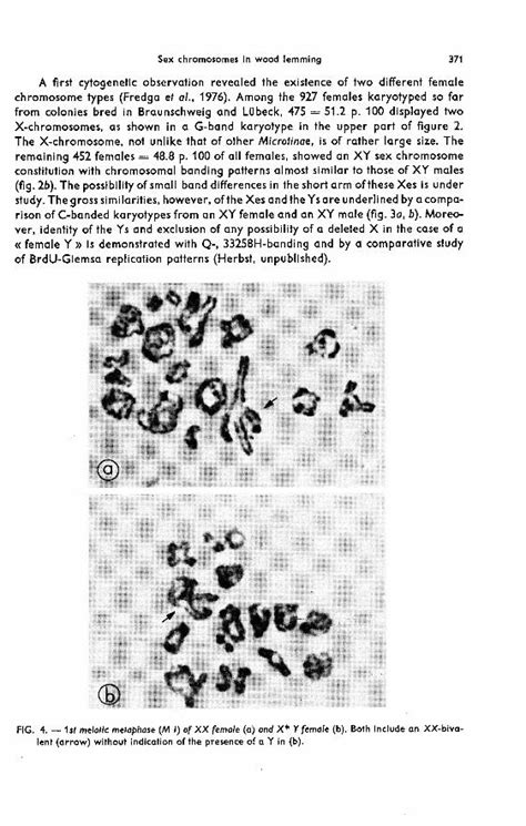 Pdf Regulation Of Sex Chromosome Constitution Of Somatic And
