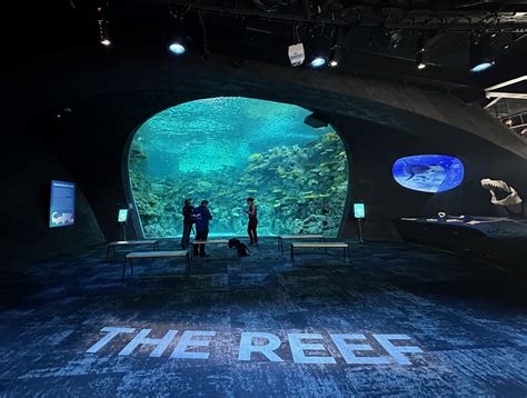 Inside Seattle Aquariums New Ocean Pavilion A High Tech Showcase For