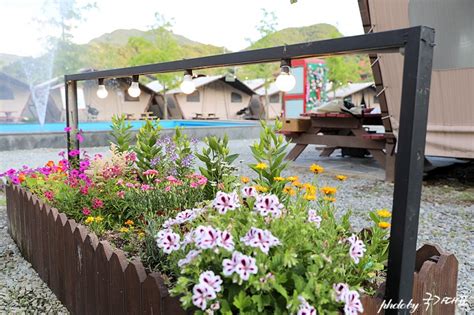 청주근교 공주 글램핑 캠핑장 수영장 글램핑 당일치기 네이버 블로그 청주근교 공주 글램핑 캠핑장 수영장 글램핑 당일치기 네이버 블로그