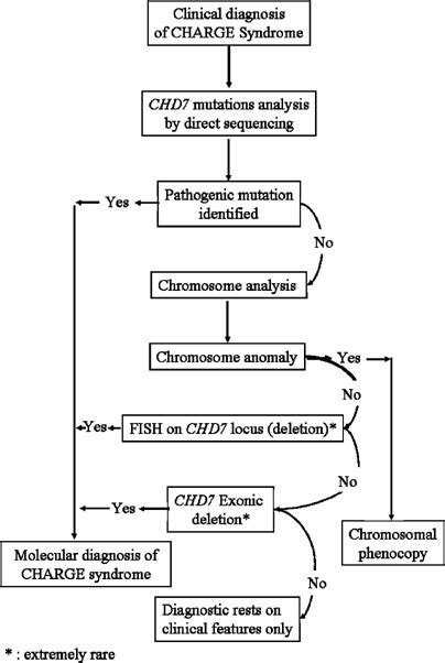 Diagnostic Algorithm For Charge Syndrome This Algorithm Would Lead To