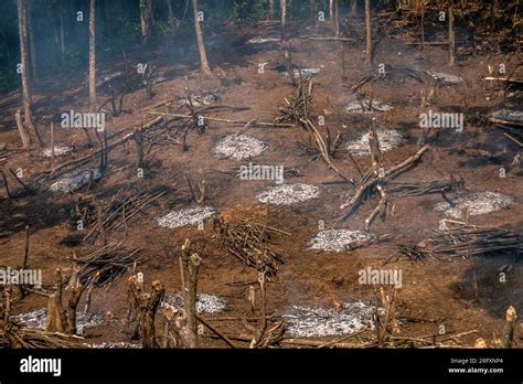 Bogor Indonesia August 05 2023 Farmers Are Using The Ancient