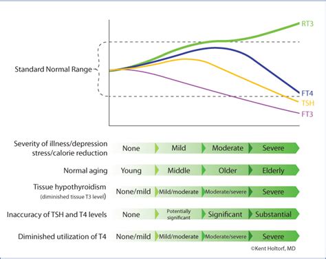 New Guideline For Tsh Thyroid Stimulating Hormone Endocrine System 1