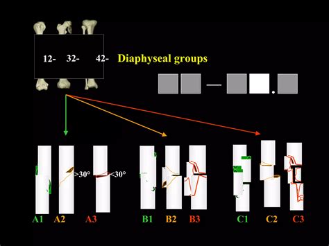 Ao Classification Ppt