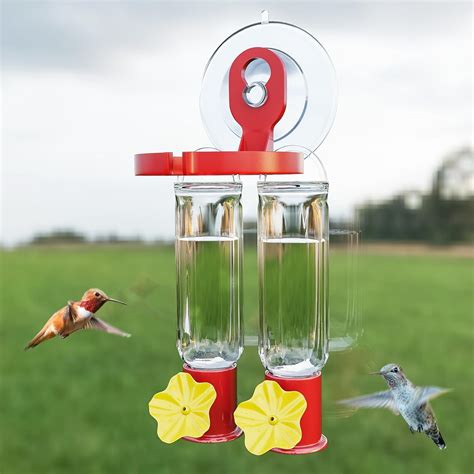 Perchme Window Hummingbird Feeder With Strong Suction