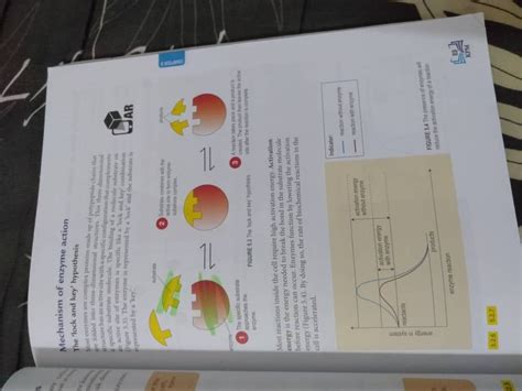 Biology Dlp Form 4 Textbook Hobbies And Toys Books And Magazines Textbooks On Carousell
