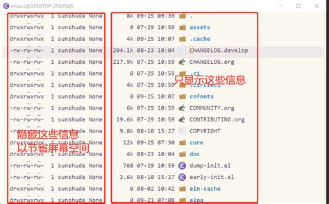 【求助】 Dired 模式下如何隐藏不需要的信息？ Spacemacs Emacs China