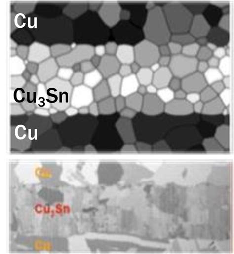 Shows An Example Of The Calculated Polycrystalline Microstructure With