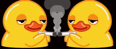 Two Ducks Smoking Looking At Each Other  Know Your Meme