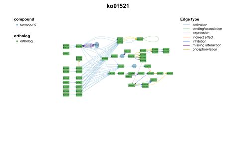使用metanet绘制kegg通路网络图
