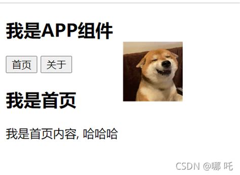 Vue基础知识总结 前端路由vue router 编程爱好者博客