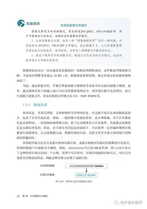 人教版高中信息技术必修1《数据与计算》电子课本（新教材pdf版）资源任何理由商业行为