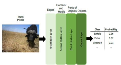 Convolutional Neural Network Model For Classification [65] Download