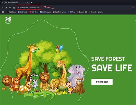 I Spent Days On This Oscp Lab — Heres How I Finally Got The Flag By Bilel Medium