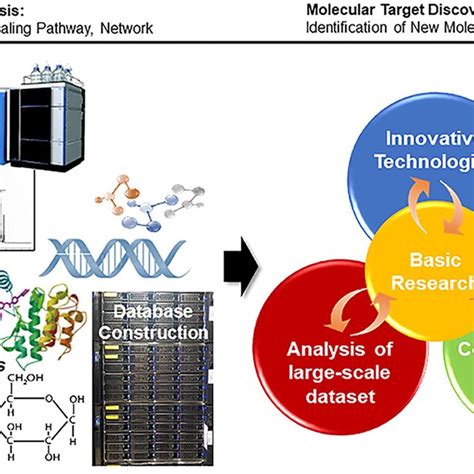 Reverse Translational Research Strategy In Reverse Translational
