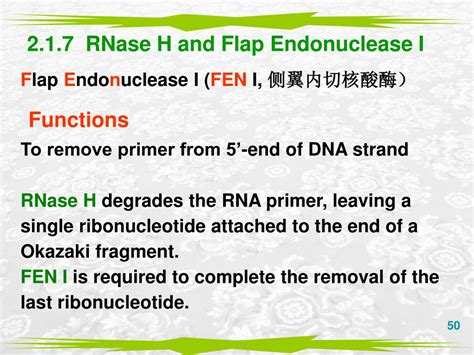 Ppt Biochemistry Powerpoint Presentation Free Download Id5095121