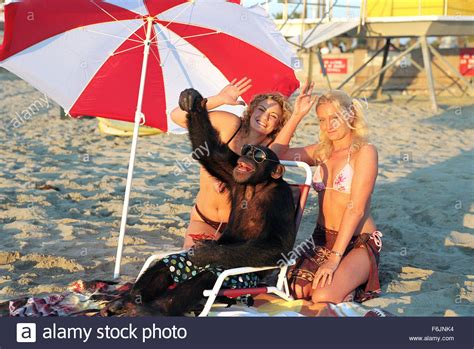 RELEASE DATE September 17 2004 MOVIE TITLE Funky Monkey STUDIO ApolloMedia PLOT This