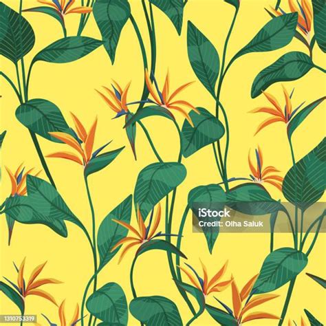스트렐리치아 레지네 열대 꽃 원활한 패턴 손으로 그린 벡터 그림 색이 색의 이국적인 식물 장식 직물 직물 벽지 배경 인쇄 장식 랩을위한 식물 디자인 0명에 대한 스톡 벡터