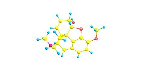 Kodein Illüstrasyon Stok Fotoğraf Resimler Ve Görseller Istock