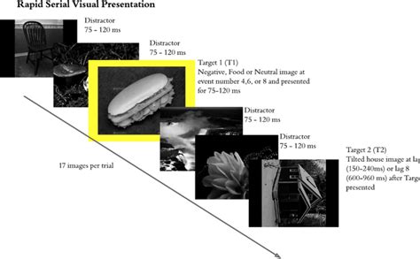 Depiction Of Attentional Blink Task Download Scientific Diagram
