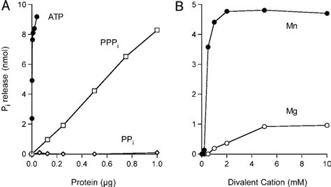 Hydrolysis Of Tripolyphosphate By Tbcet1 A Reaction Mixtures 50 L