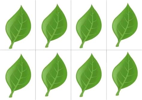 Diy Paper Leaf Template