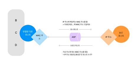 ip 주소란 ip 주소 체계와 arp