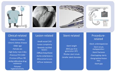 Overview Of The Main Risk Factors Of In Stent Restenosis Download Scientific Diagram