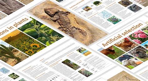 Evolution And Inheritance Year 6 Science Cornerstones Curriculum