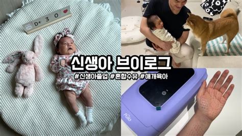 Vlog 아기와 시바견 첫만남 신생아졸업 산후도우미 후기 현실육아🫠풀리오손목마사지bcg주사베이비몬테소리라라스베개