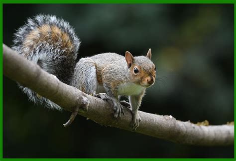 Advanced Barcode Scanning Techniques Omnidirectional Scanning