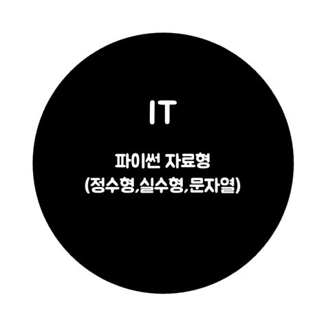 파이썬 파이썬 자료형 정수형실수형문자열 네이버 블로그