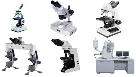 Diagram Of CHE103 Introduction To Forensic Science Quizlet