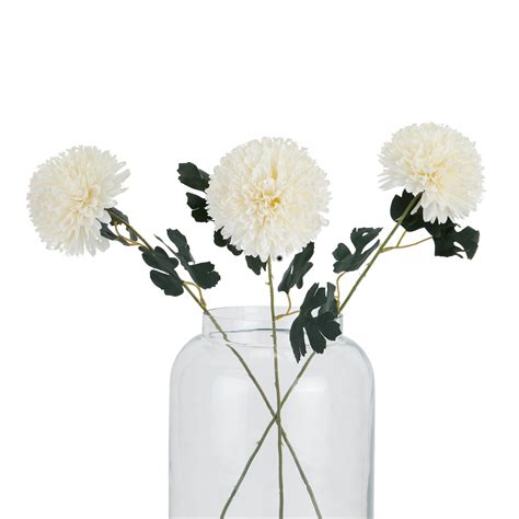 White Chrysanthemum Stem Roost Home And Lifestyle