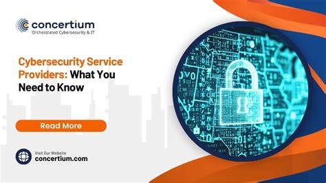 Cybersecurity Service Providers Guide Top Facts 2024