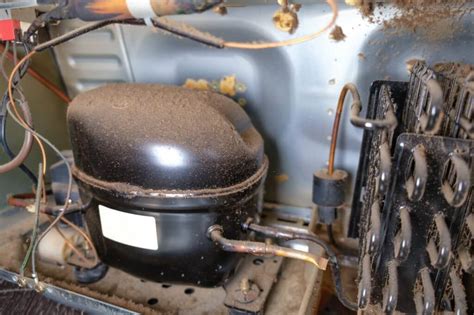 How To Reset A Refrigerator Compressor Easy Guide My Heart Lives Here