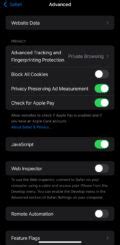 Enabling JavaScript On Safari BrowserStack