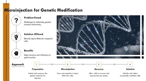 Exploring Gene Transformation Techniques For Enhanced Genetic Engineering Ppt Example St Ai Ppt