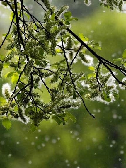 Room Allergens — Allerease Travel