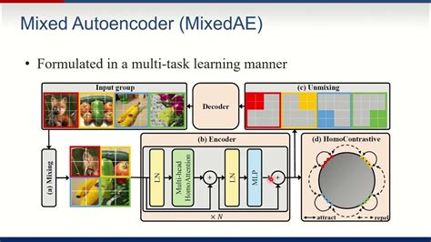 (CVPR 2023) Mixed Autoencoder for Self-supervised Visual Representation Learning - YouTube