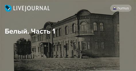 Белый. Часть 1: humus — LiveJournal