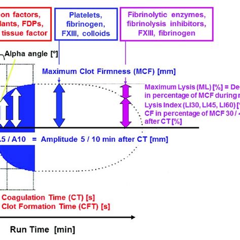 Rotem Traces 4 Main Clot Parameters 1 Clot Initiation Coagulation Download Scientific